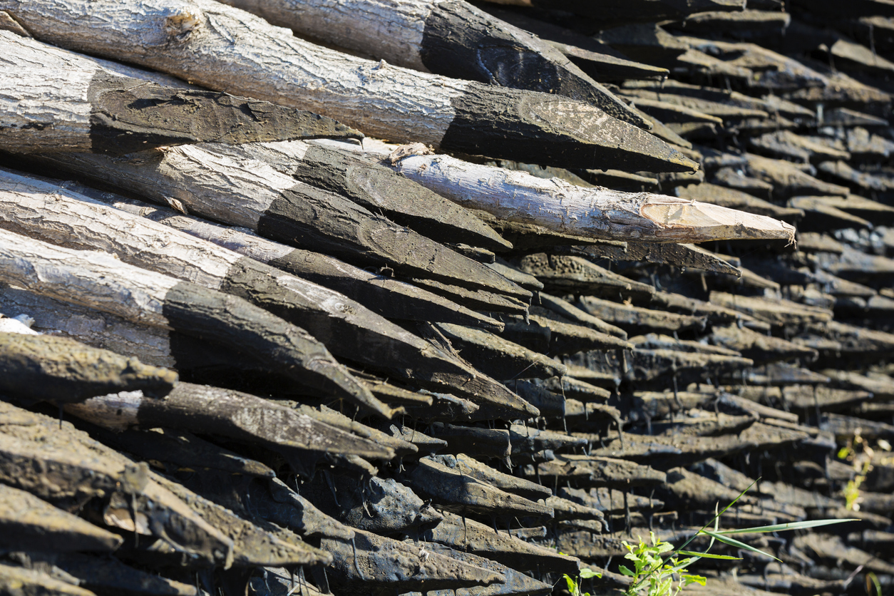 Beware the Spike - Mirus Capital Advisors